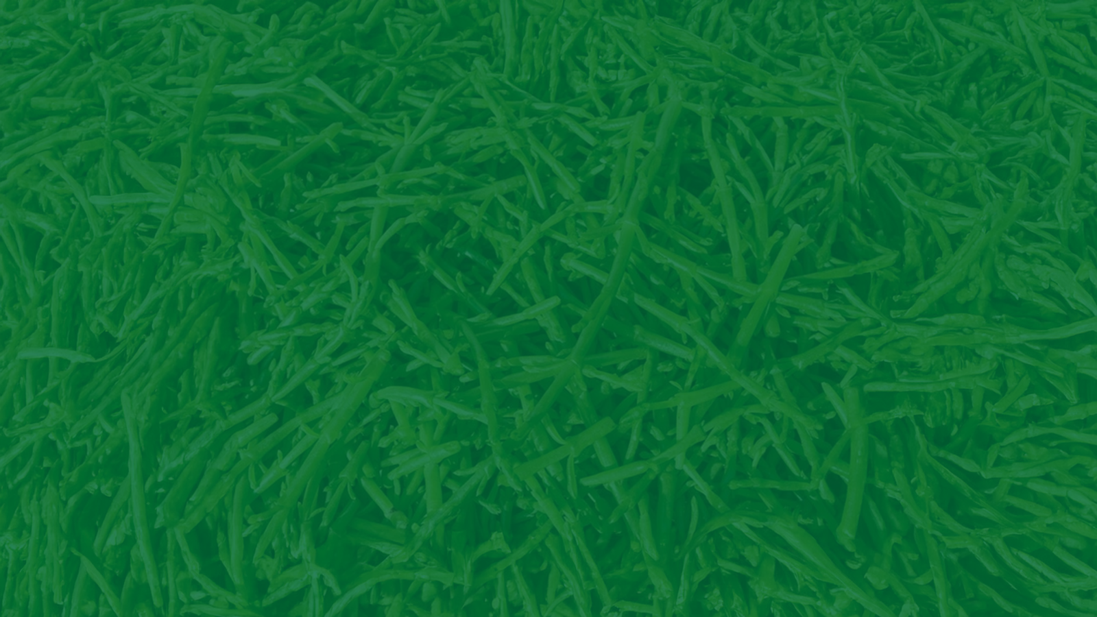 Green Salt | Healthy Salt Substitute – SaltWise