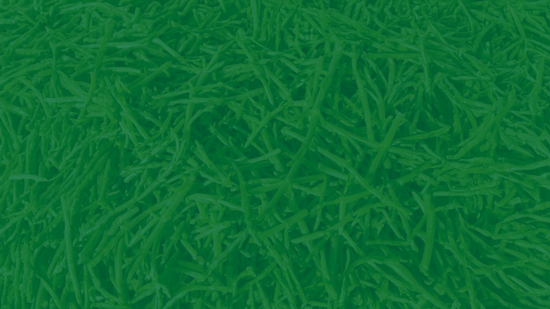 Green Salt | Healthy Salt Substitute – SaltWise